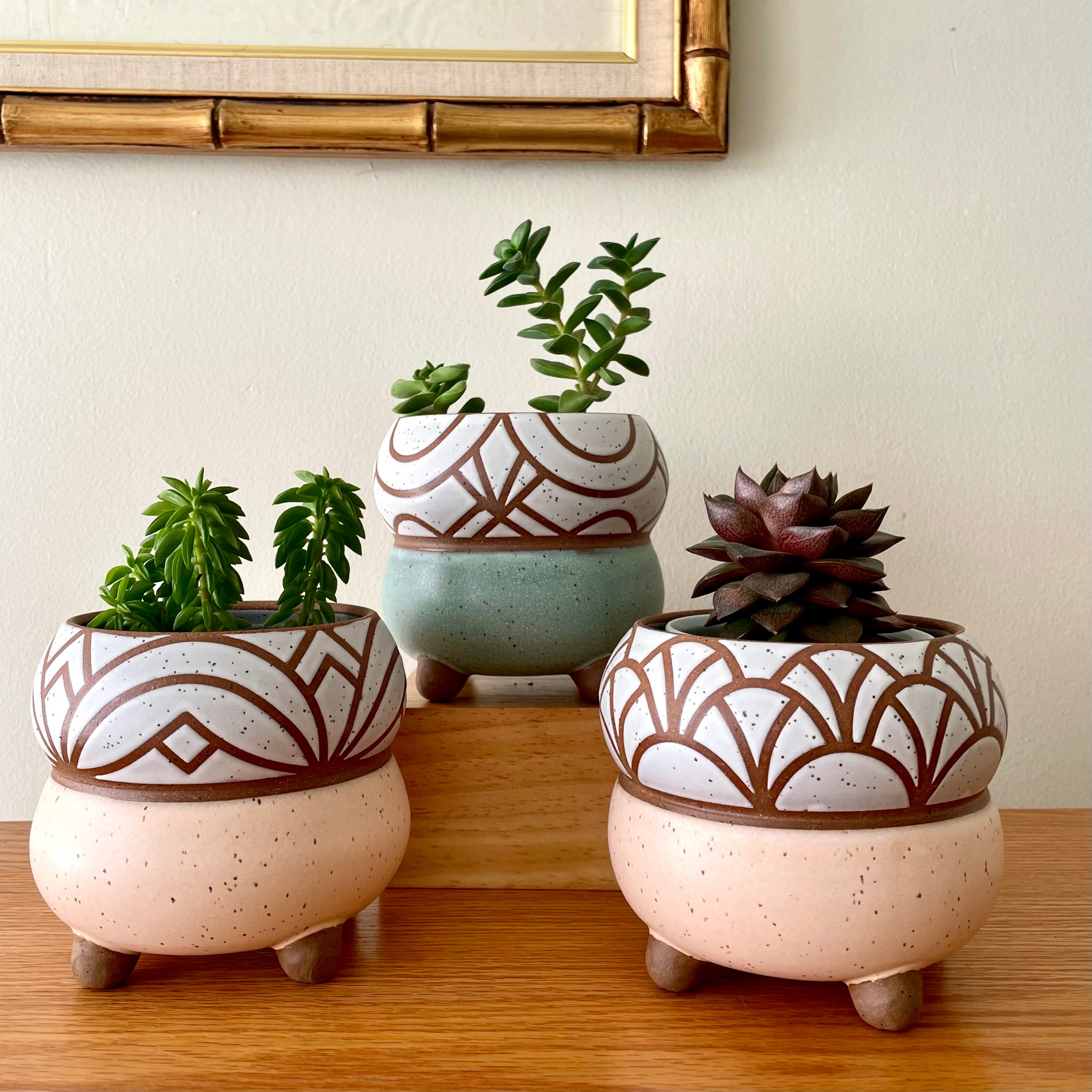 Planters – Bethany Slater